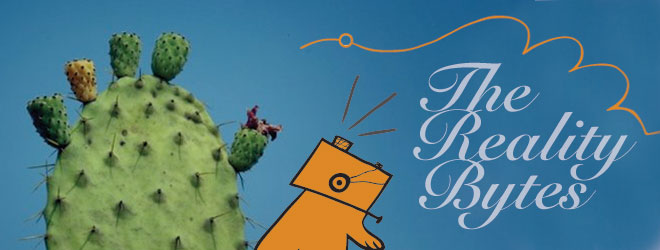 The Reality Bytes •