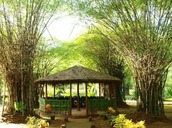 GOAN ADVENTURES: 4 IN 1 FULL DAY PICNIC EVENT