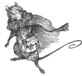 Clara Gillow Clark: BOOK B'DAY *** Debut Author Hilary Wagner ...