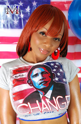 Godin blog: pebbelz da model