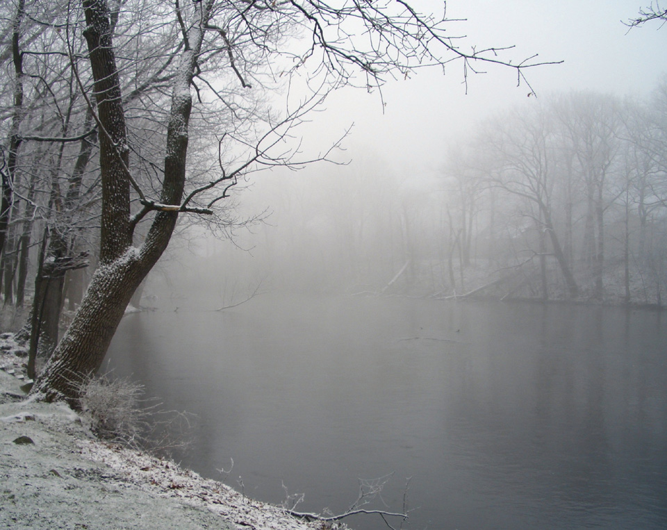 Thoughts from the West: Gray Day, Silver Outlook