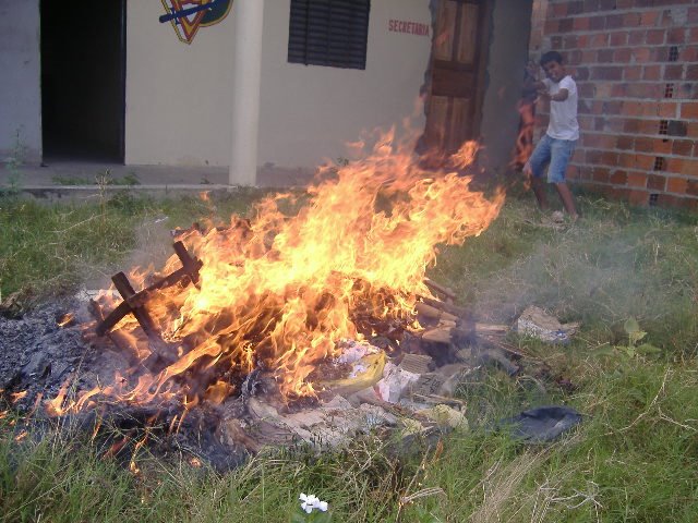 Folhas Verdes do Meu Quintal: Evite Queimar o Lixo