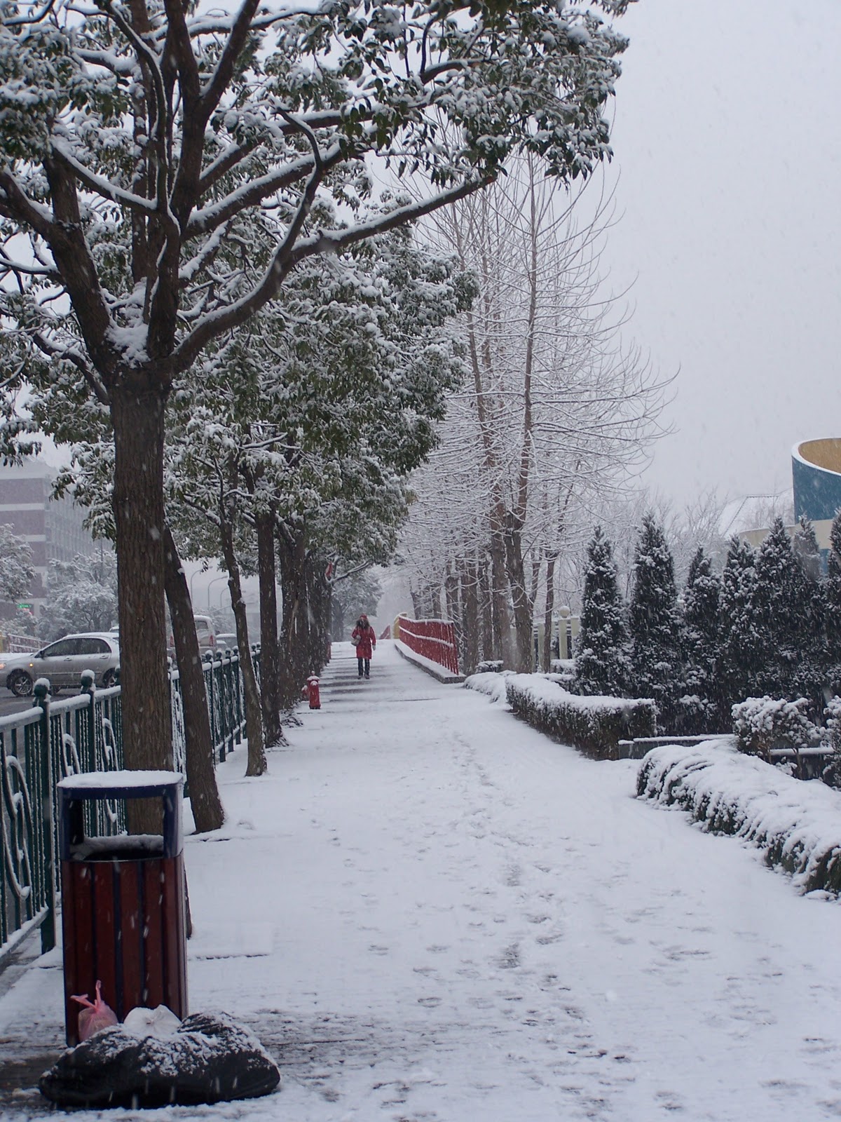 Mr. Cabrera Goes to Shanghai, China: Winter in Shanghai