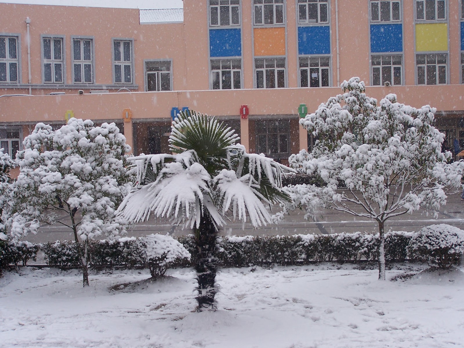 Mr. Cabrera Goes to Shanghai, China: Winter in Shanghai