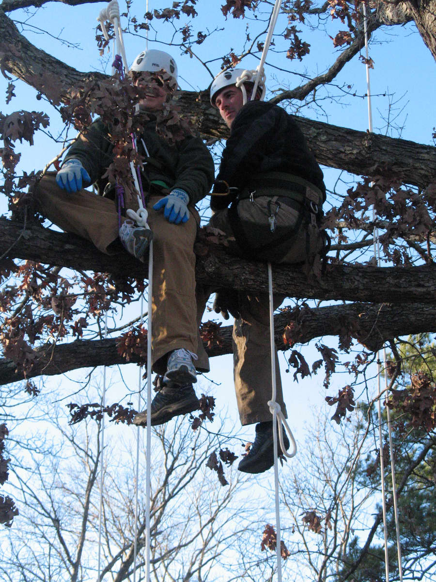 Adventure Farm: YMCA Demo Tree Climb