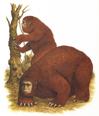 wlog: MAN OH MAN (after man): the art of dougal dixon