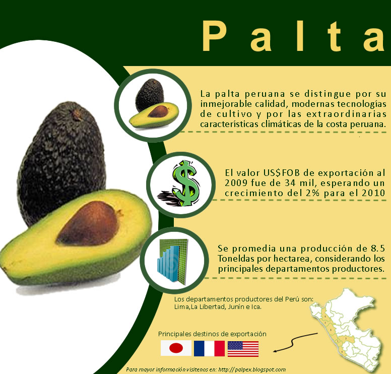 Palta peruana de exportación: Infografia De La Palta.