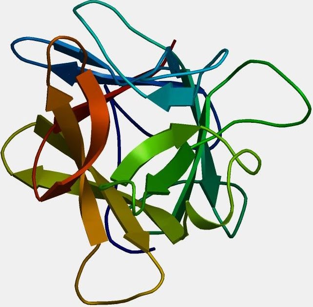 FOODUCATION.ORG: Miraculin revisited - part 1:2