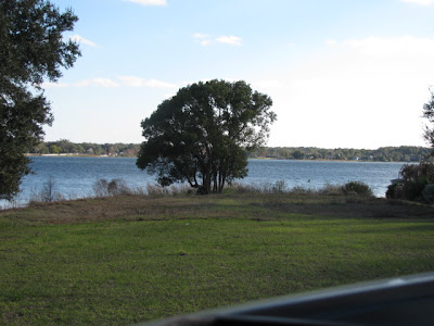 Tangerine, Florida