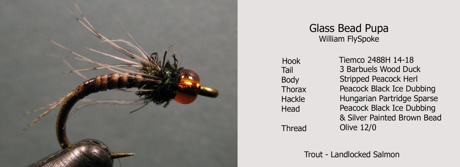 FlySpoke: FlySpoke Fly Patterns