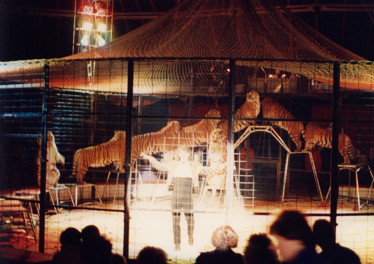 A friend of the Circus: Richard Chipperfield Junior