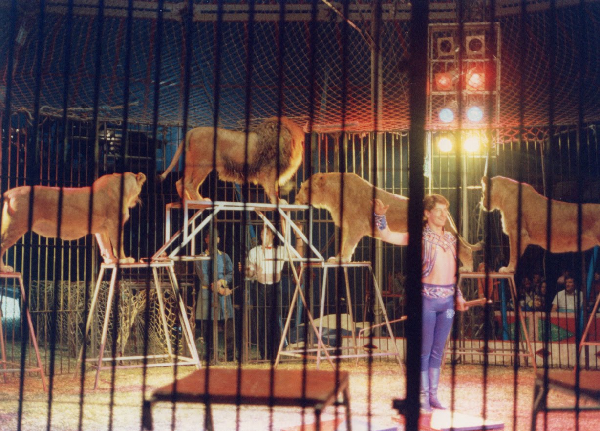 A friend of the Circus: Richard Chipperfield Junior