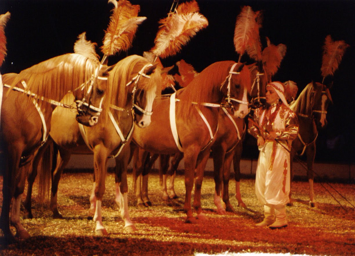 A friend of the Circus: Sally Ann Roncescu, Horses, Chipperfields ...