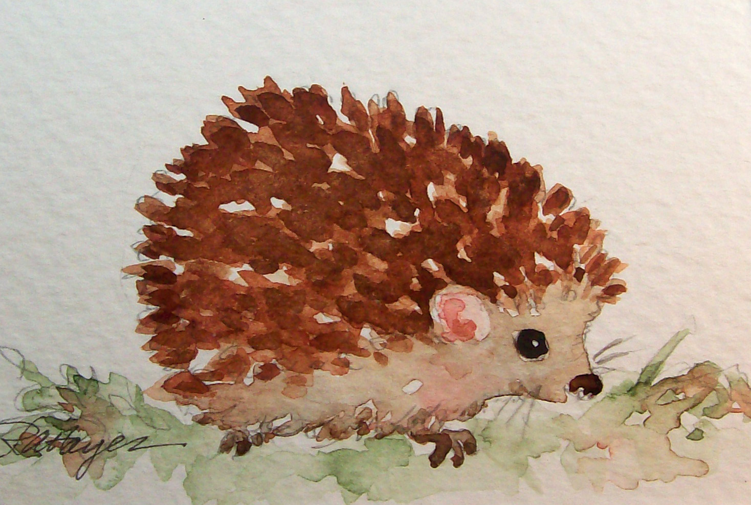 Daily Watercolors: Hedgehog