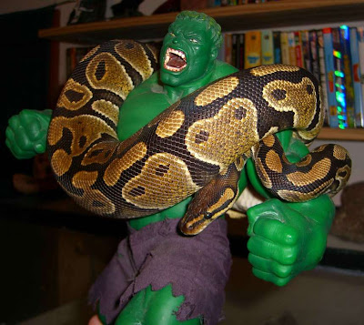 JIMSMASH ! ! !: HULK VS SNAKE