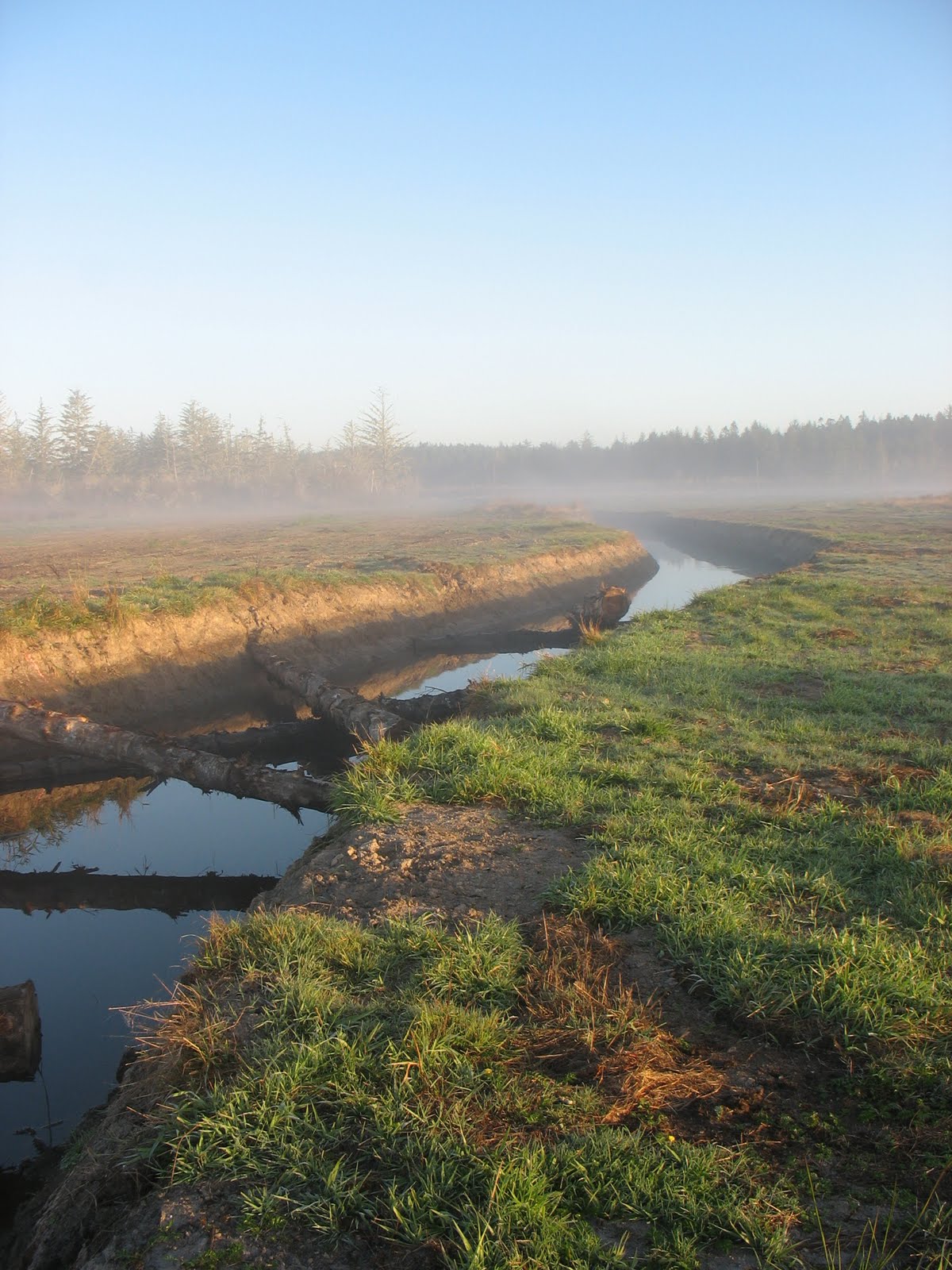 The Dish on Fish: Restoring Tidal Marshes on Oregon Coast National ...