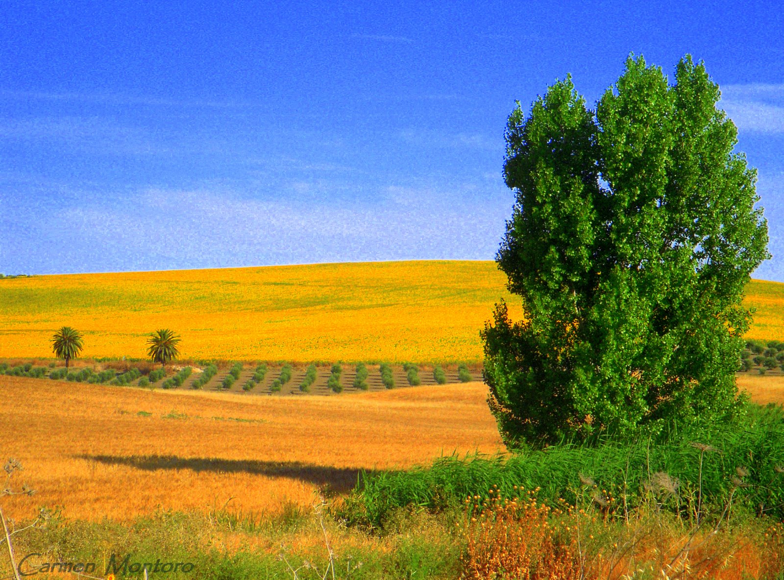 Paisajes hermosos azules - Imagui