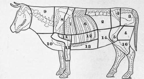 Gastronomista: Meat Sections