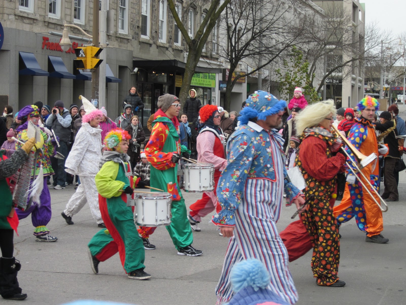 Sawyer The Berner : Guelph Santa Claus Parade