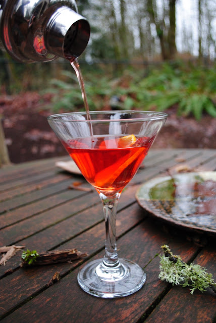Negroni: The Perfect Winter Cocktail | The Enchanted Spoon