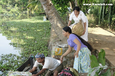 SOUTH INDIAN GALLERY: Malayalam Movie Bhagya Devatha Photos