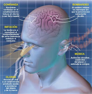 Los Ingredientes de La Vida: "La Mente Subconsciente"
