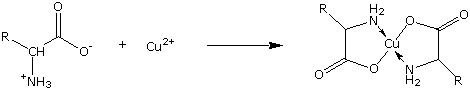 Detachment and indentify of organic compound: Copper Complex Formation for amino acid