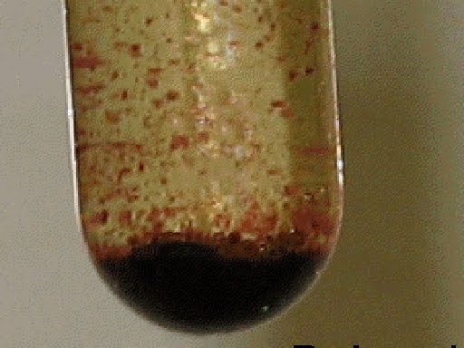 Detachment and indentify of organic compound: Iodine Test for alkene