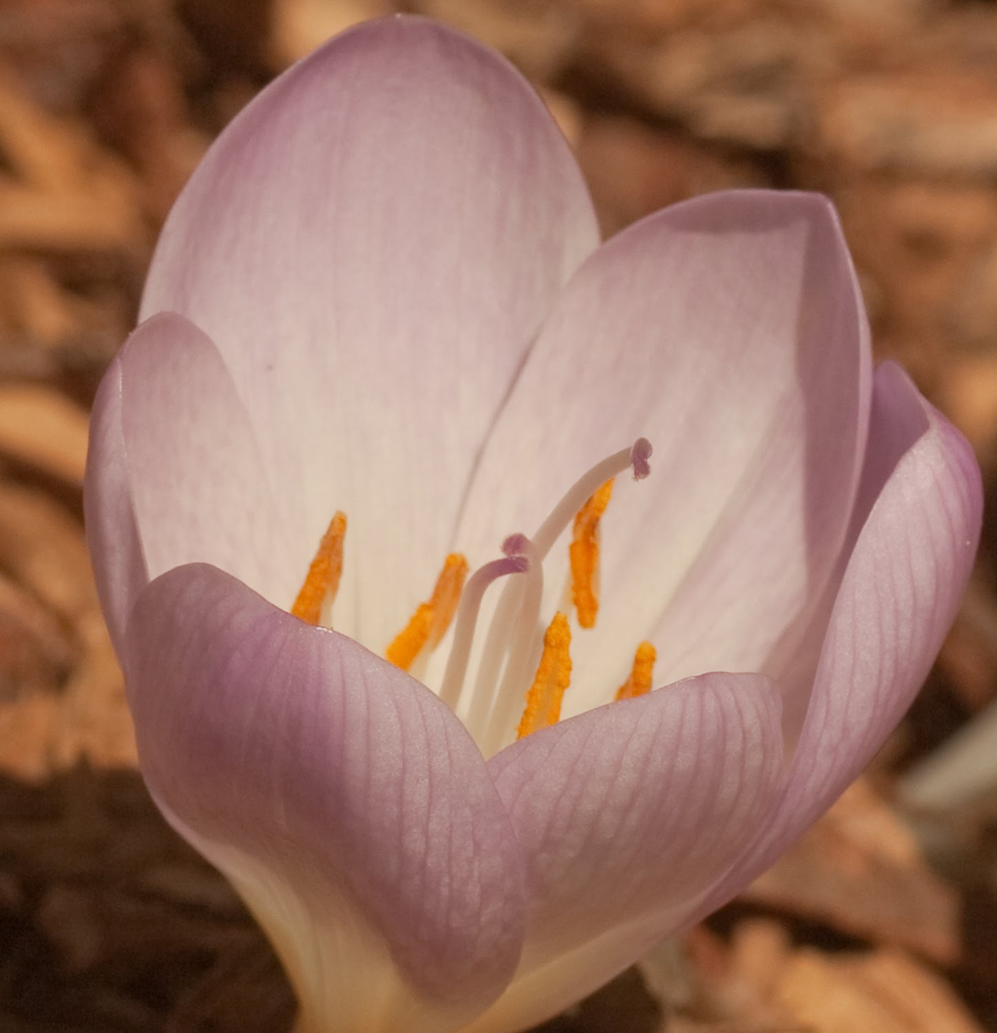 End to the Long Hot Summer