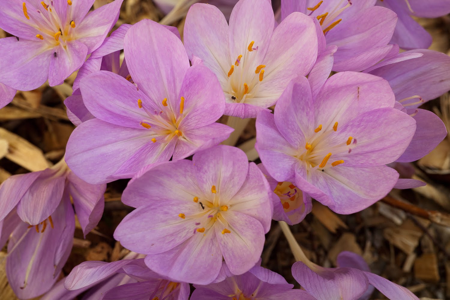 End to the Long Hot Summer