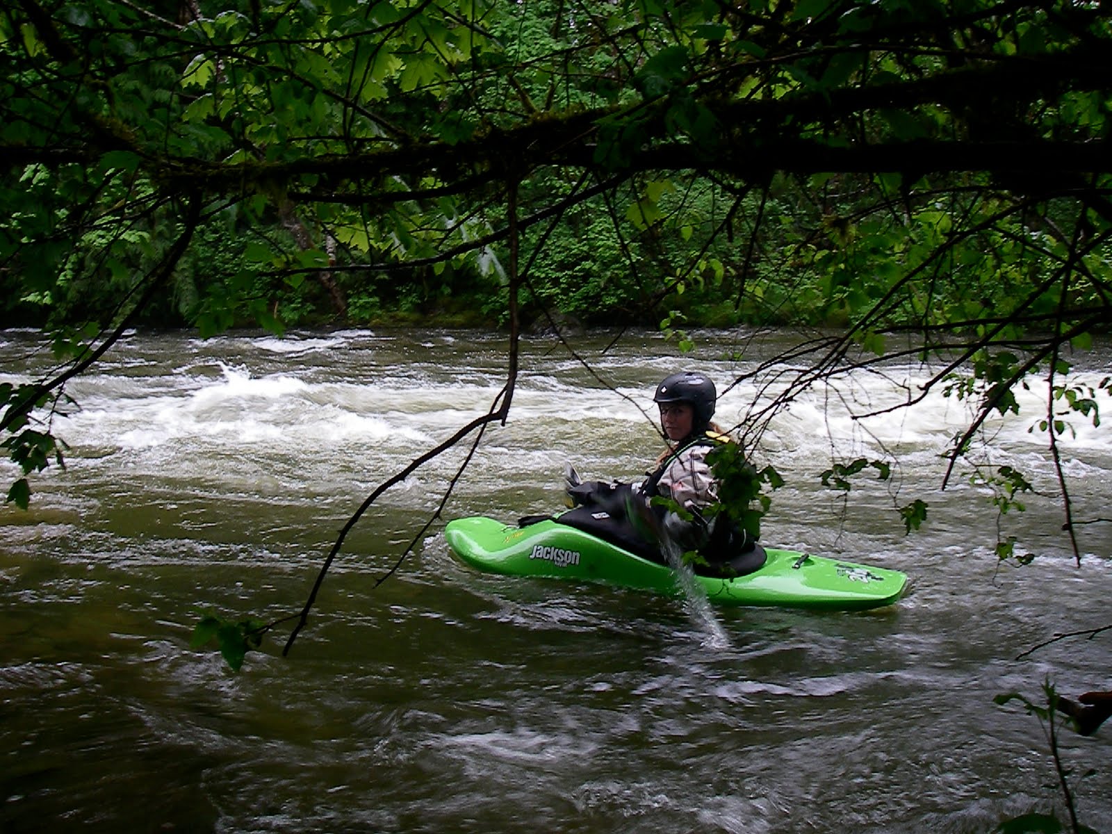 Puntledge River Festival Vancouver Island · Small World Adventures