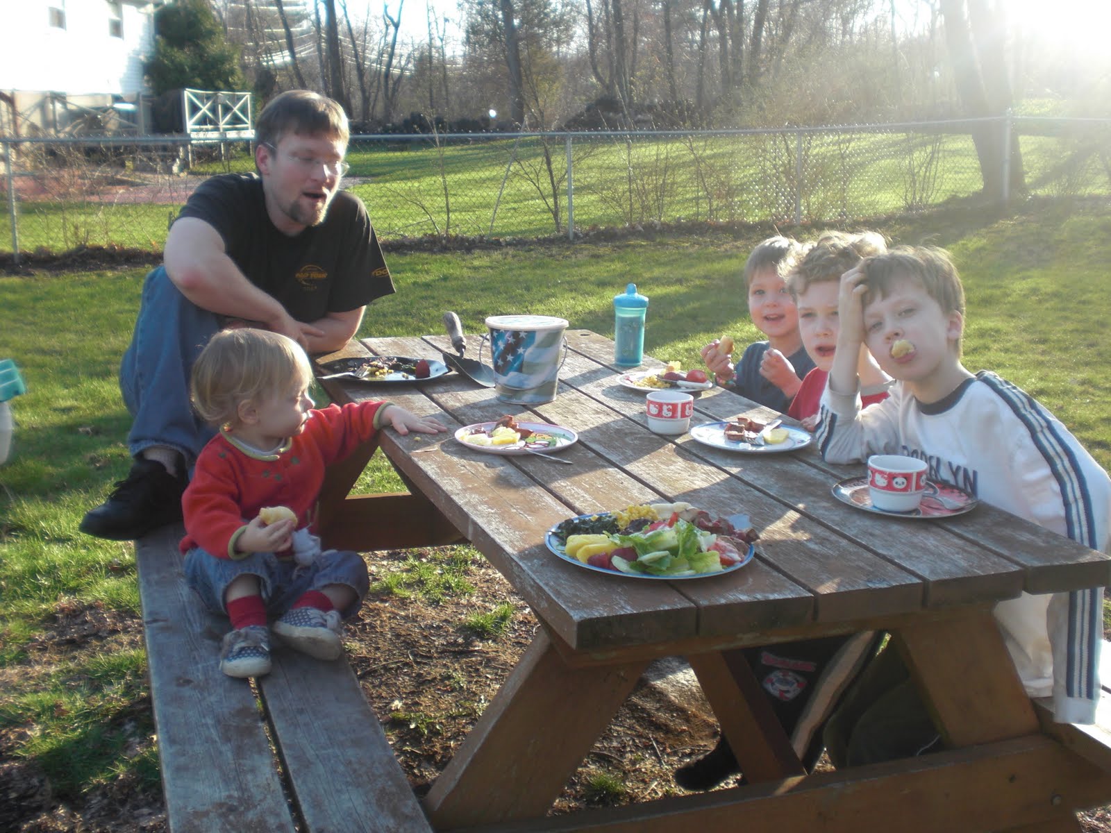 Disposable Aardvarks Inc.: most boring bento award