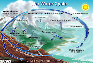 environmental engineering: WATER CYCLE