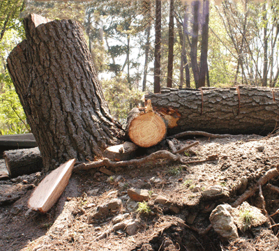 TU APORTE ES NECESARIO ACTÚA, ¡ES EL MOMENTO!