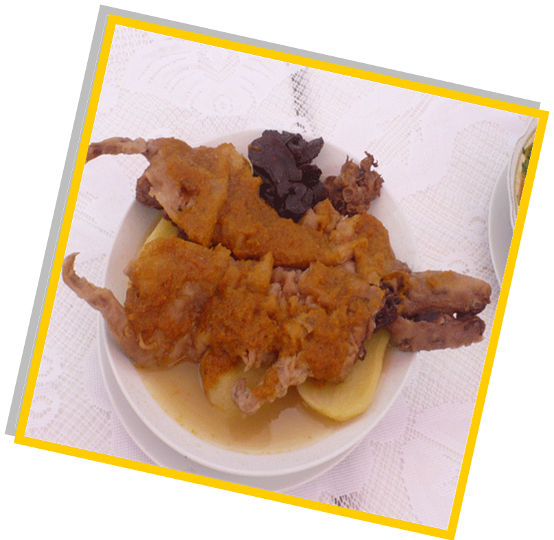 YANASAPA WAYIN: PLATOS TIPICOS