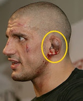 MMA Science: CALL FOR RESEARCH ON THE STUDY OF INJURY IN THE SPORT OF ...