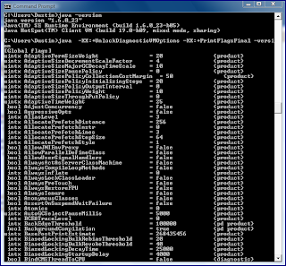Inspired by Actual Events: HotSpot JVM Options Displayed: -XX ...