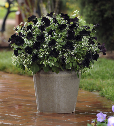 Phil Dowding PR: client news: New products line up for GAN awards