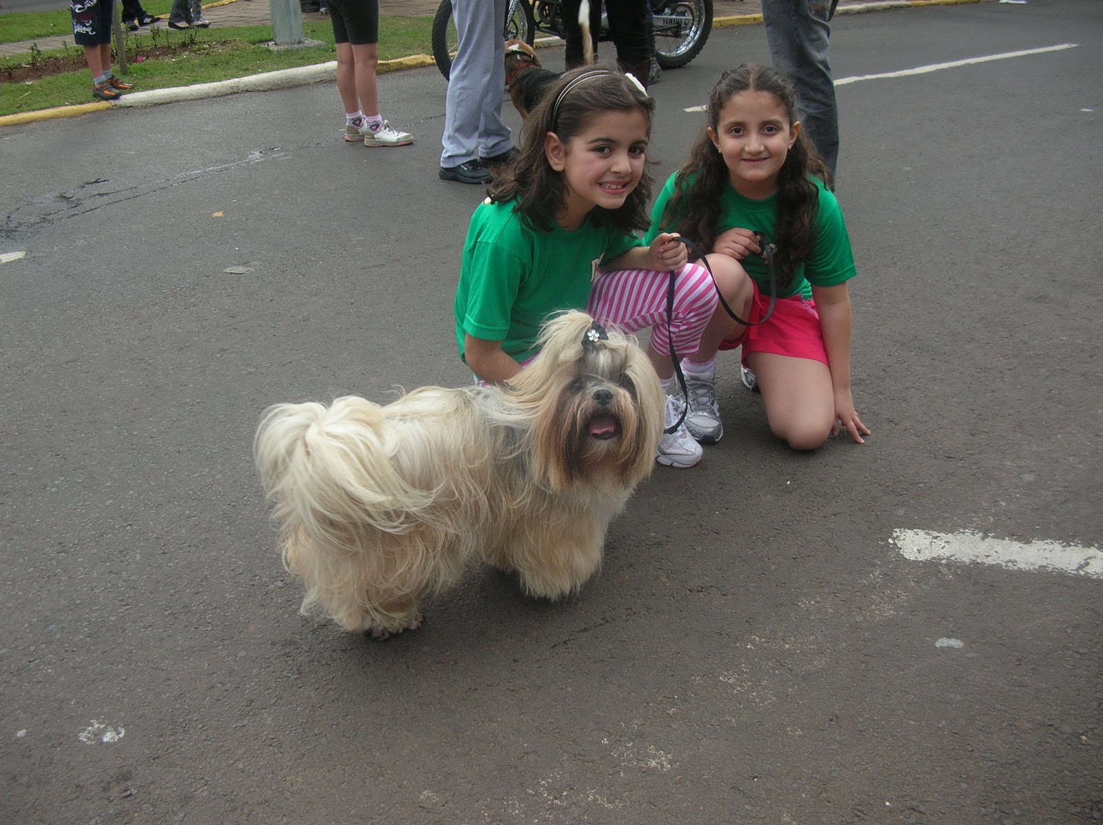 Dog Show Chapecó: 1ª Parada Animal - Cãominhada