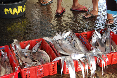 The Beancounter: Dalahican Fish Port, Lucena City – Fruits of the Sea