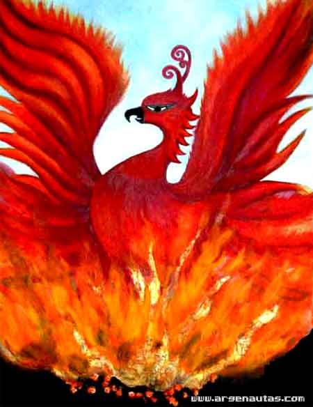 MACO: "AVE FENIX: RENACE HOY SIN MIEDO A VIVIR SIN MIEDO AL DOLOR Y ...