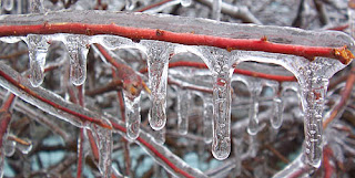 Springfield Photos: Springfield, IL Ice Storm