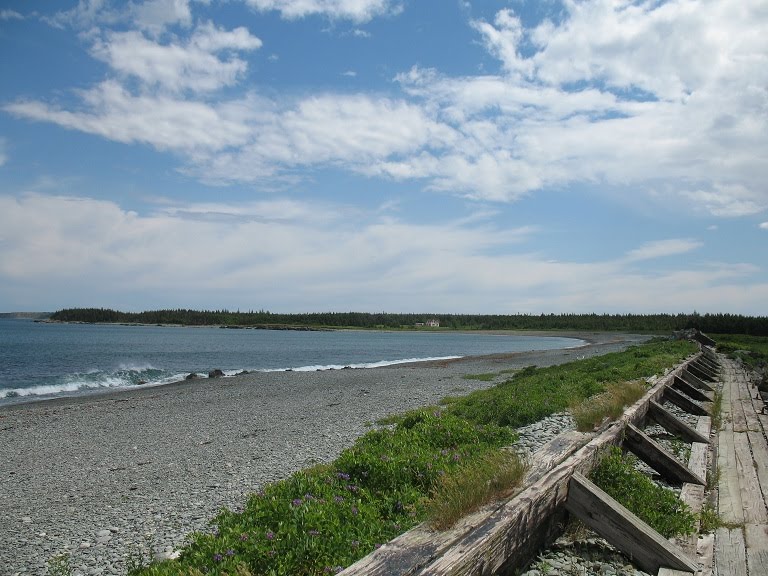 Totally-Hooked Rug Hooking Escapades: Another Beautiful Day in The ...