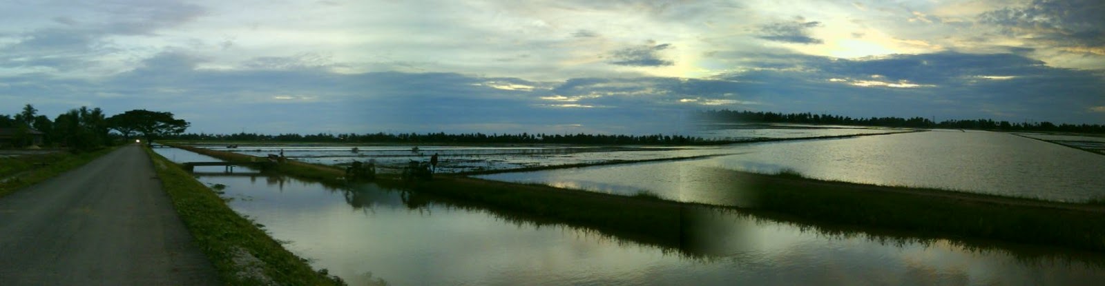 LagunaMerbok: Sawah Bendang