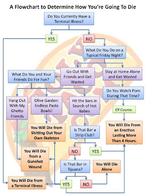 Daily Image: A FlowChart of Your Death Path