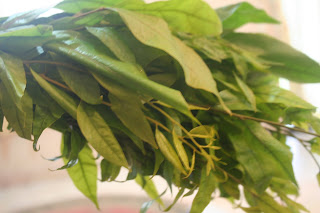 My Kitchen: Pindang pucuk cemperai