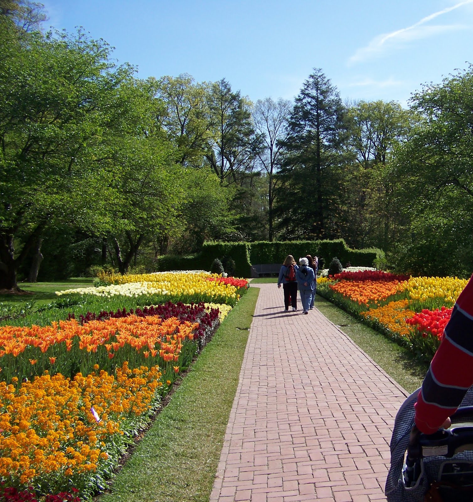 Jersey Shore Journal: Longwood Gardens in Springtime