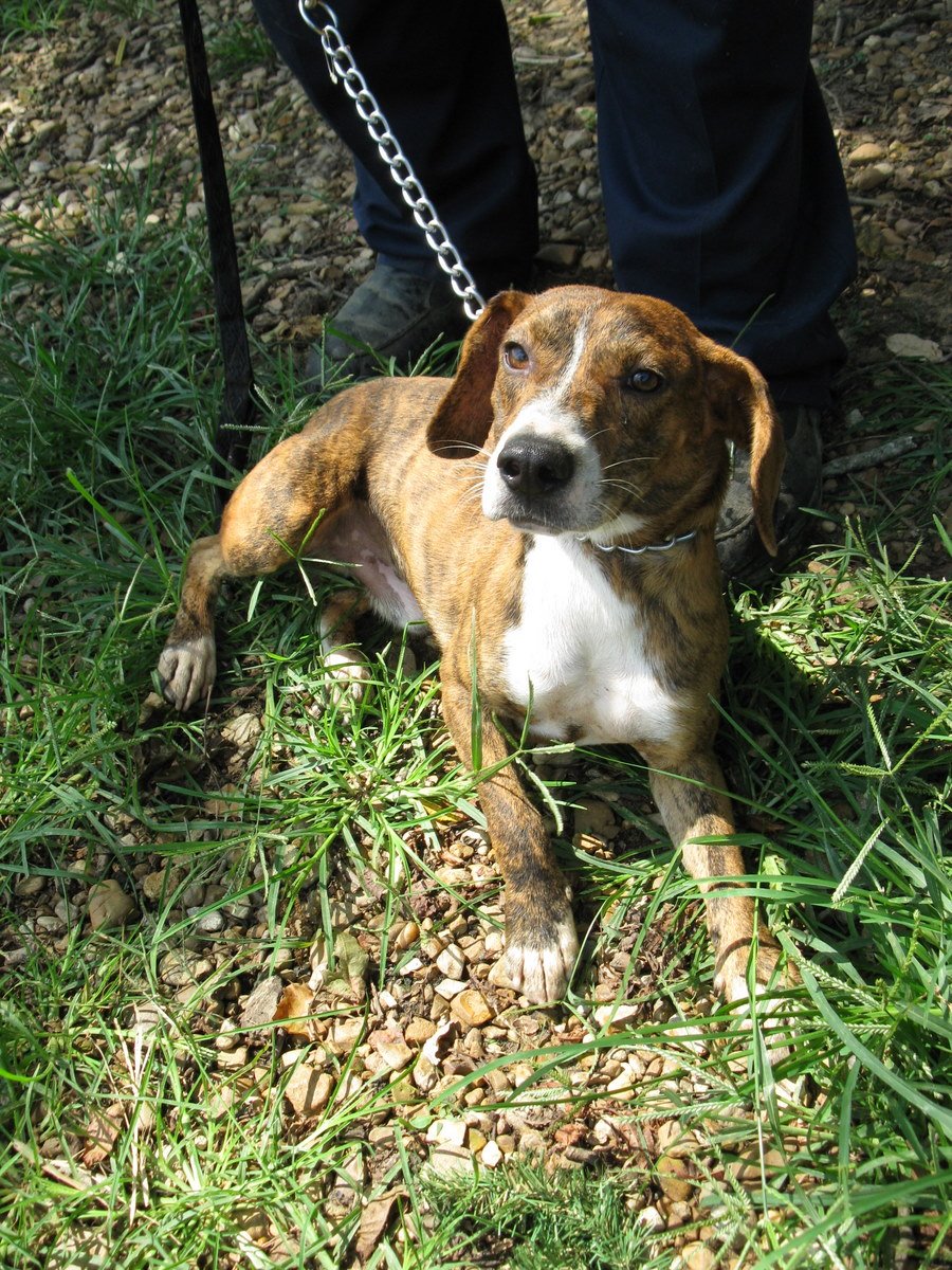 Update for August 10, 2009