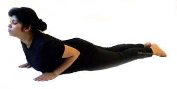 Bhujangasana Cobra Pose ~ World Yoga Suda