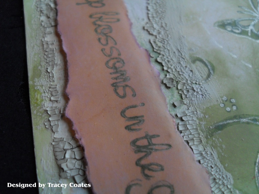 The Stamp Man: Inspiration from Tracey Coates - Part 5